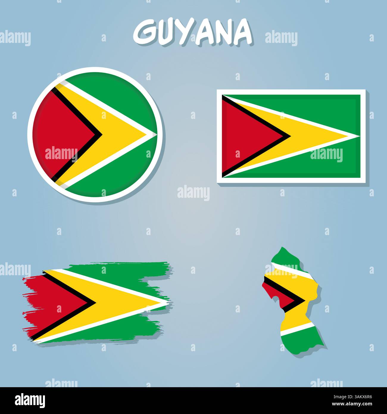 Flag Map of Guyana, vector isolated simplified illustration icon with silhouette of Guyana map ...