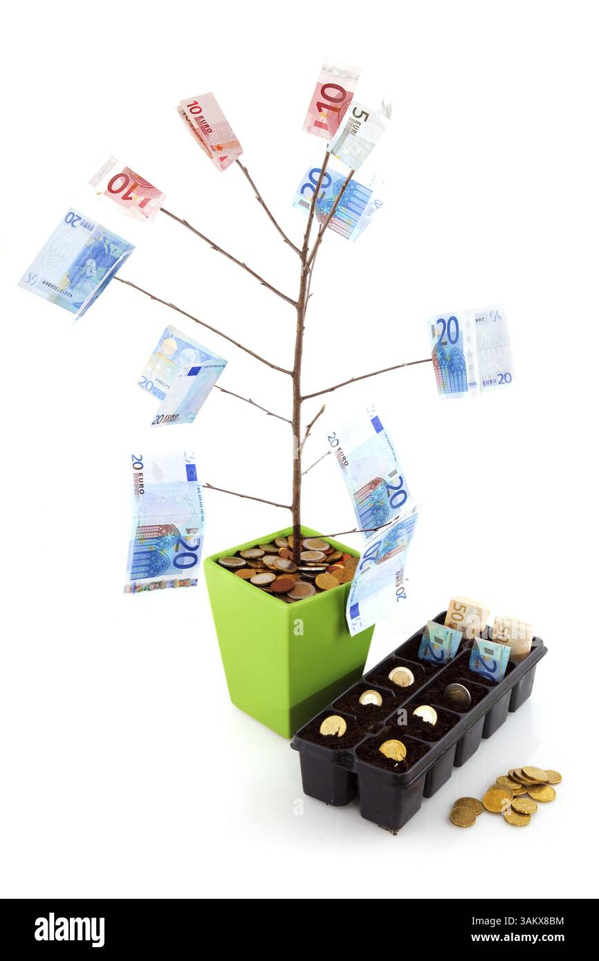 Money nut Cut Out Stock Images & Pictures - Alamy