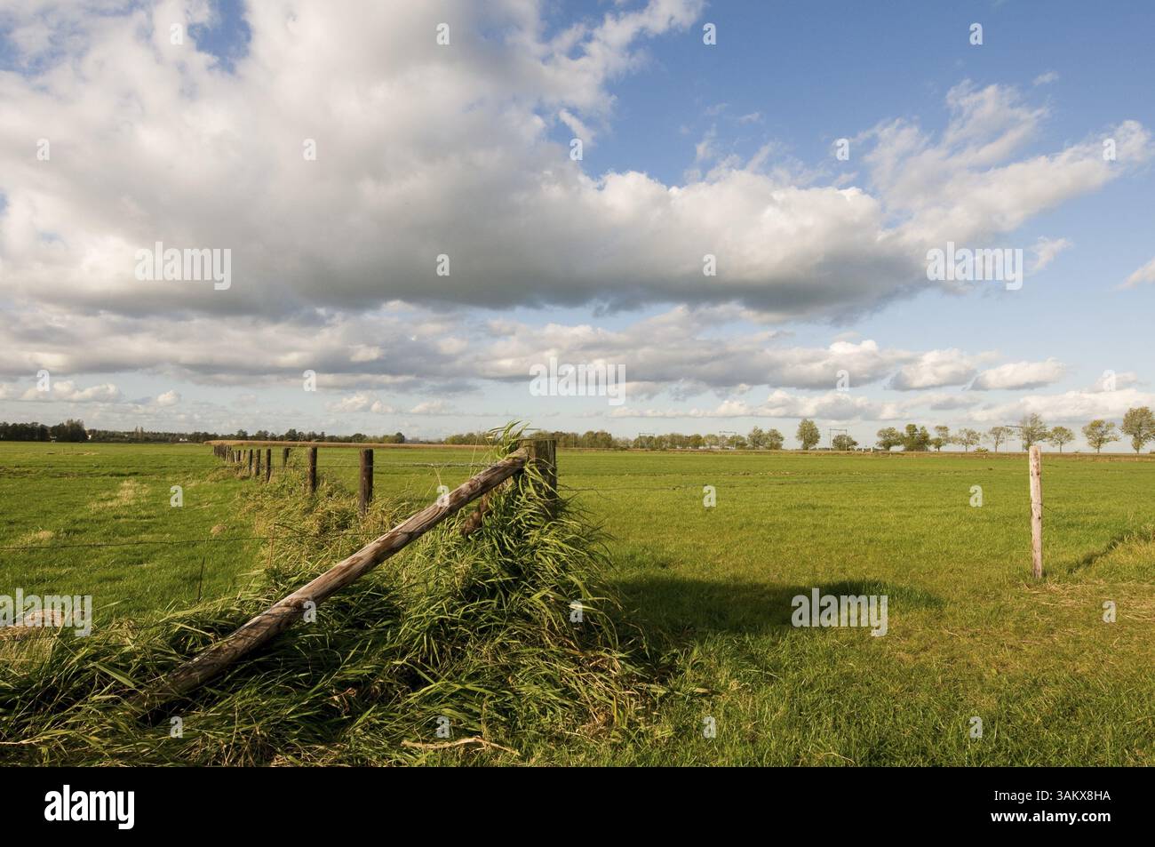 Dutch flat landscape with farmland and blue cloudy sky Stock Photo - Alamy