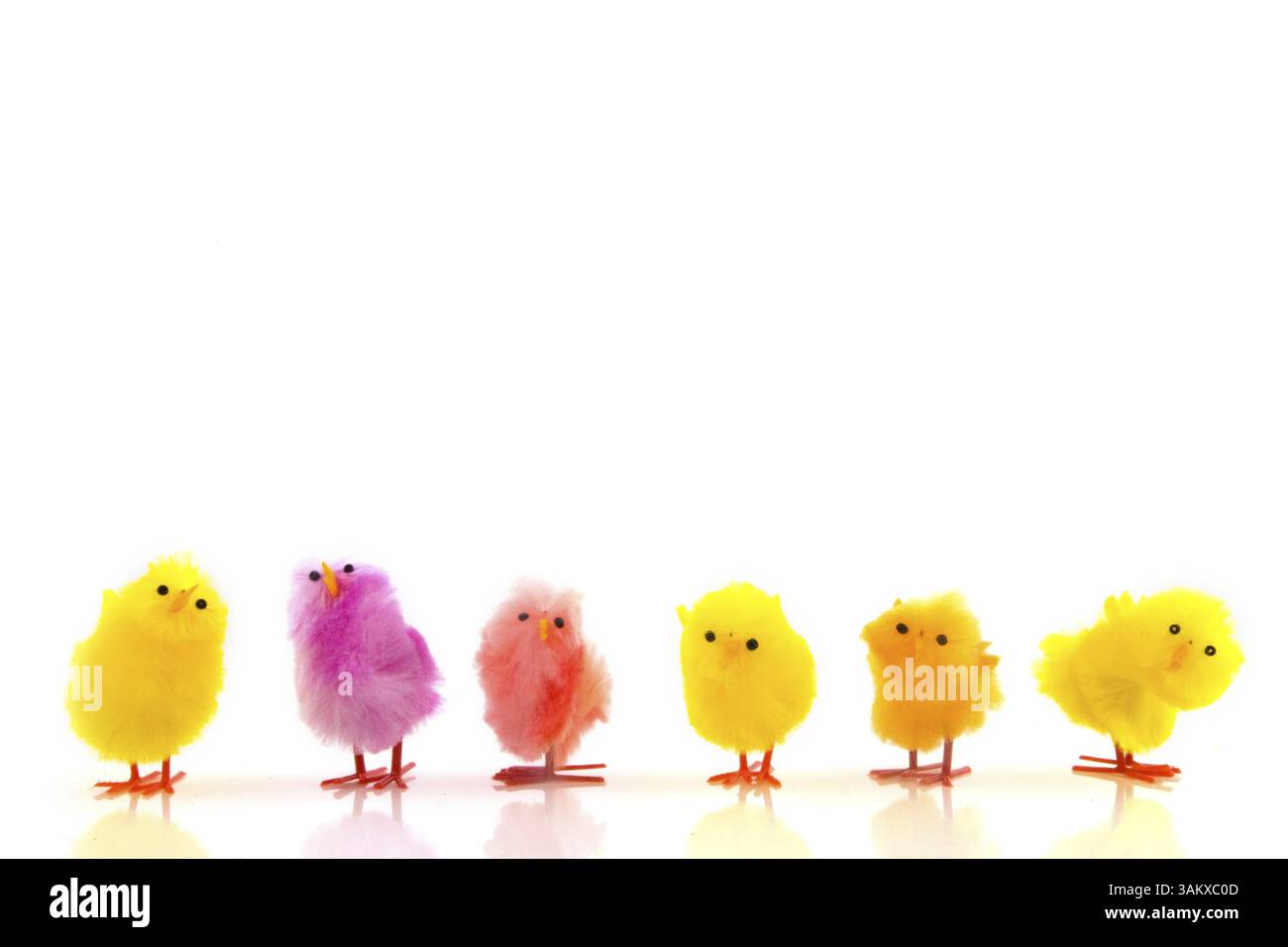 Colored easter chickens isolated over white Stock Photo - Alamy