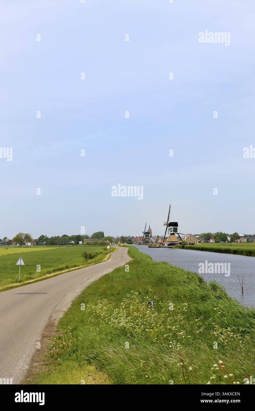Typical Dutch landscape with windmills water and pastures Stock Photo ...
