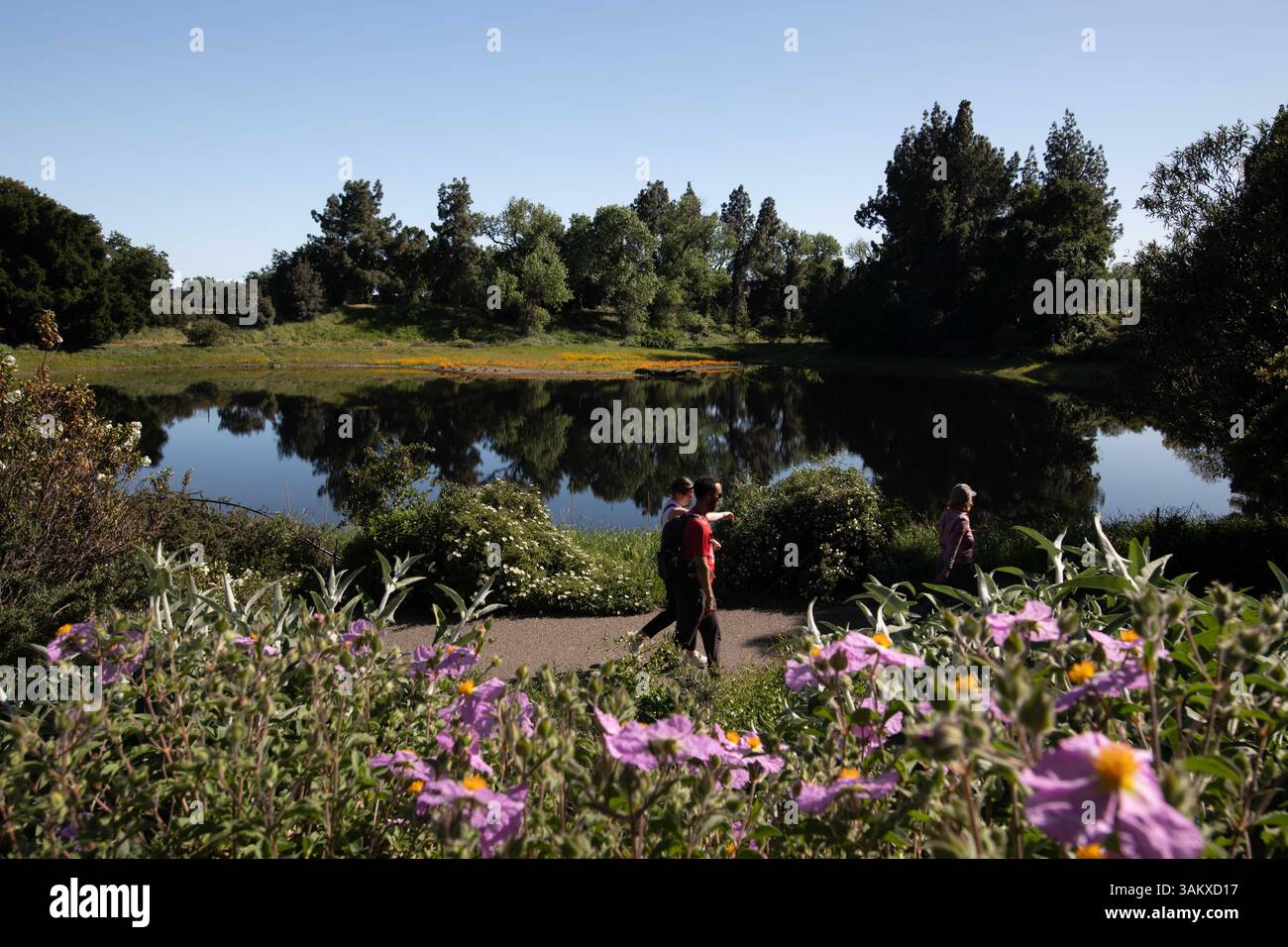 People enjoy the warm temperatures at the U.C. Davis Arboretum, during ...