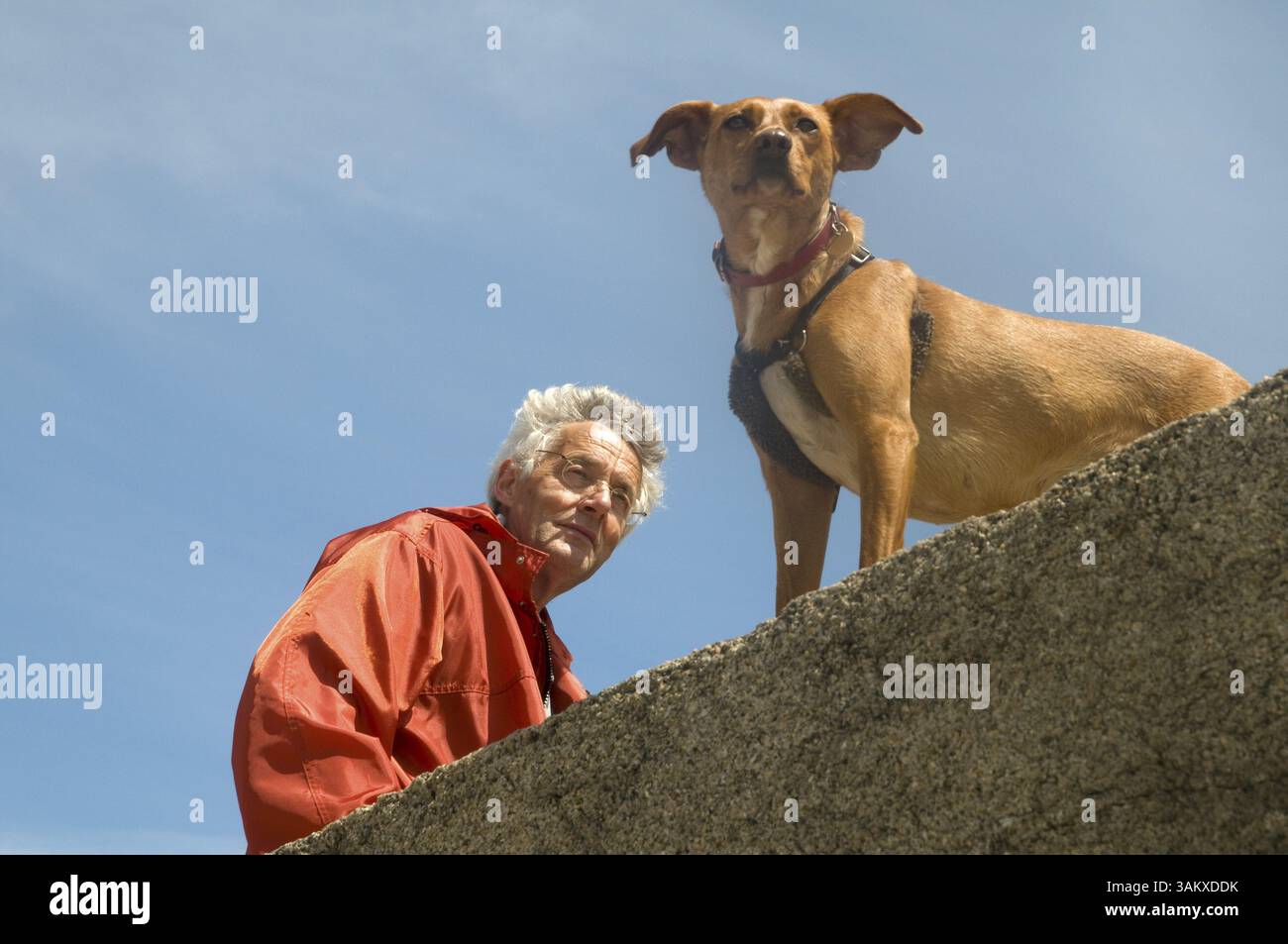 Elderly man with his cross breed dog outdoor hi-res stock photography ...