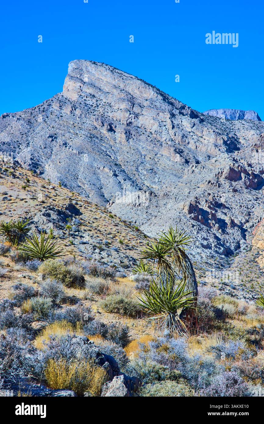Kraft Mountain Desert Majesty with Low Angle Perspective Stock Photo ...