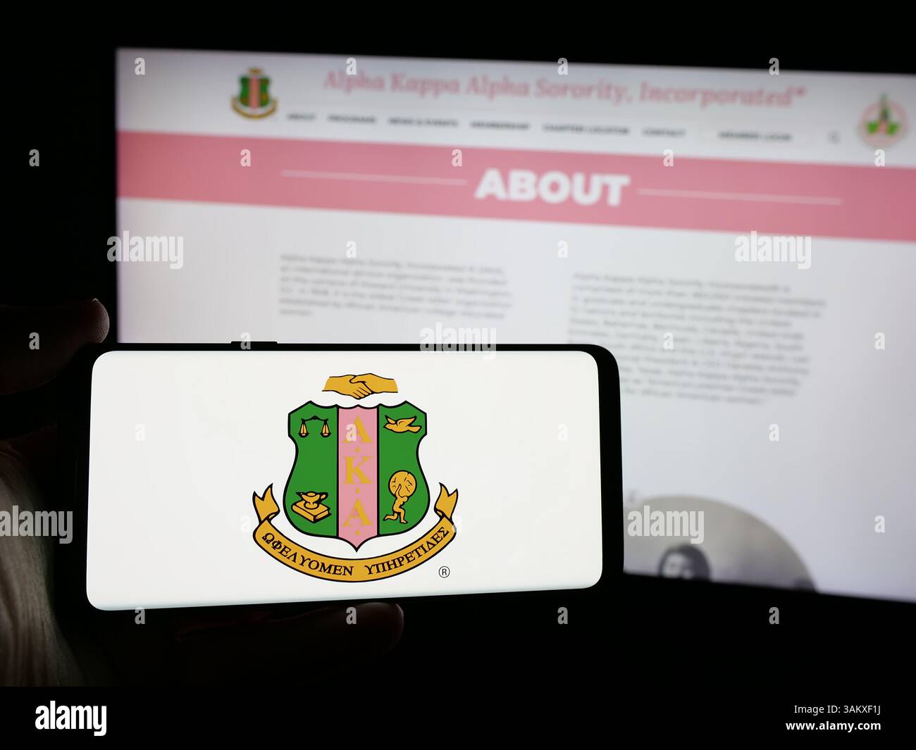 Stuttgart, Germany - 11-26-2024: Person holding smartphone with logo of ...