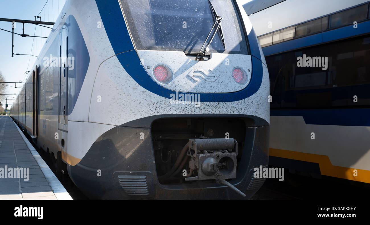 Dirty front of train with NS logo (Nederlandse Spoorwegen - Dutch ...