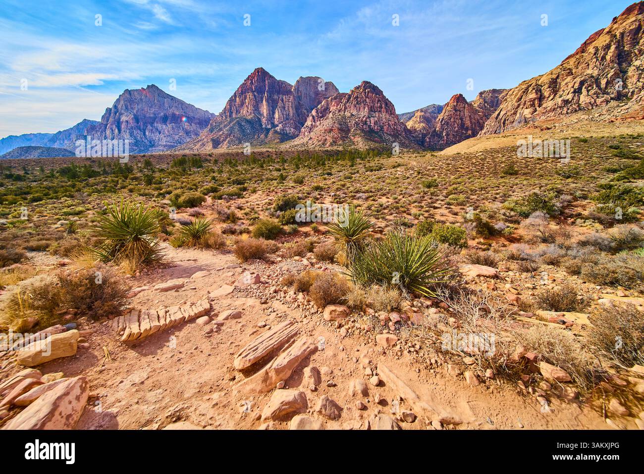 Red Rock Canyon Desert Vista with Hiking Trail and Yucca Plants Stock ...