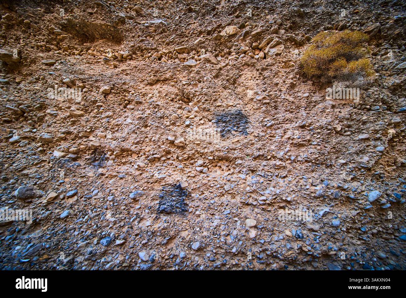 Rugged Desert Rocks and Shrub Texture at Eye Level in Nevada Stock ...