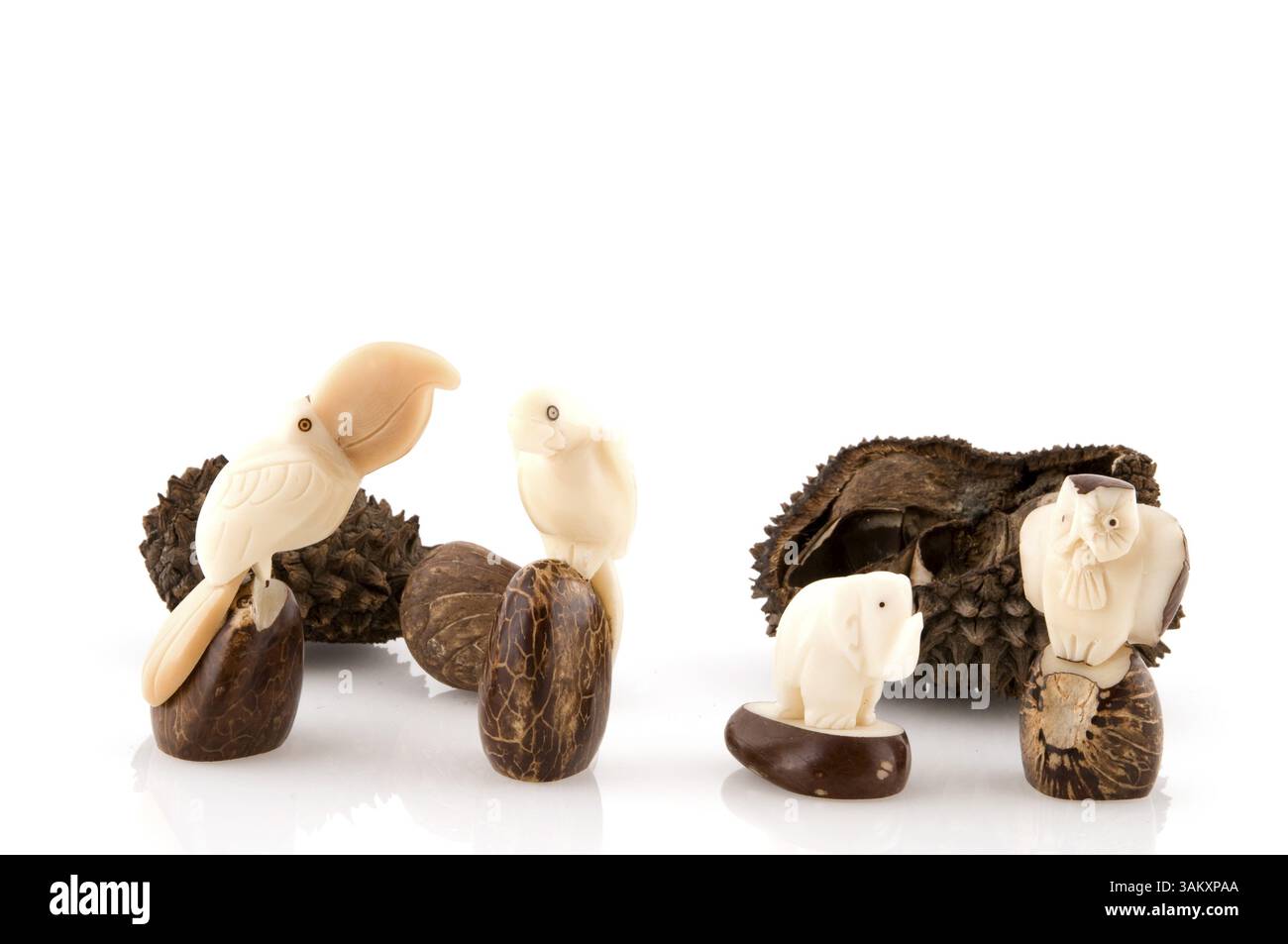 Vegetable ivory Cut Out Stock Images & Pictures - Alamy