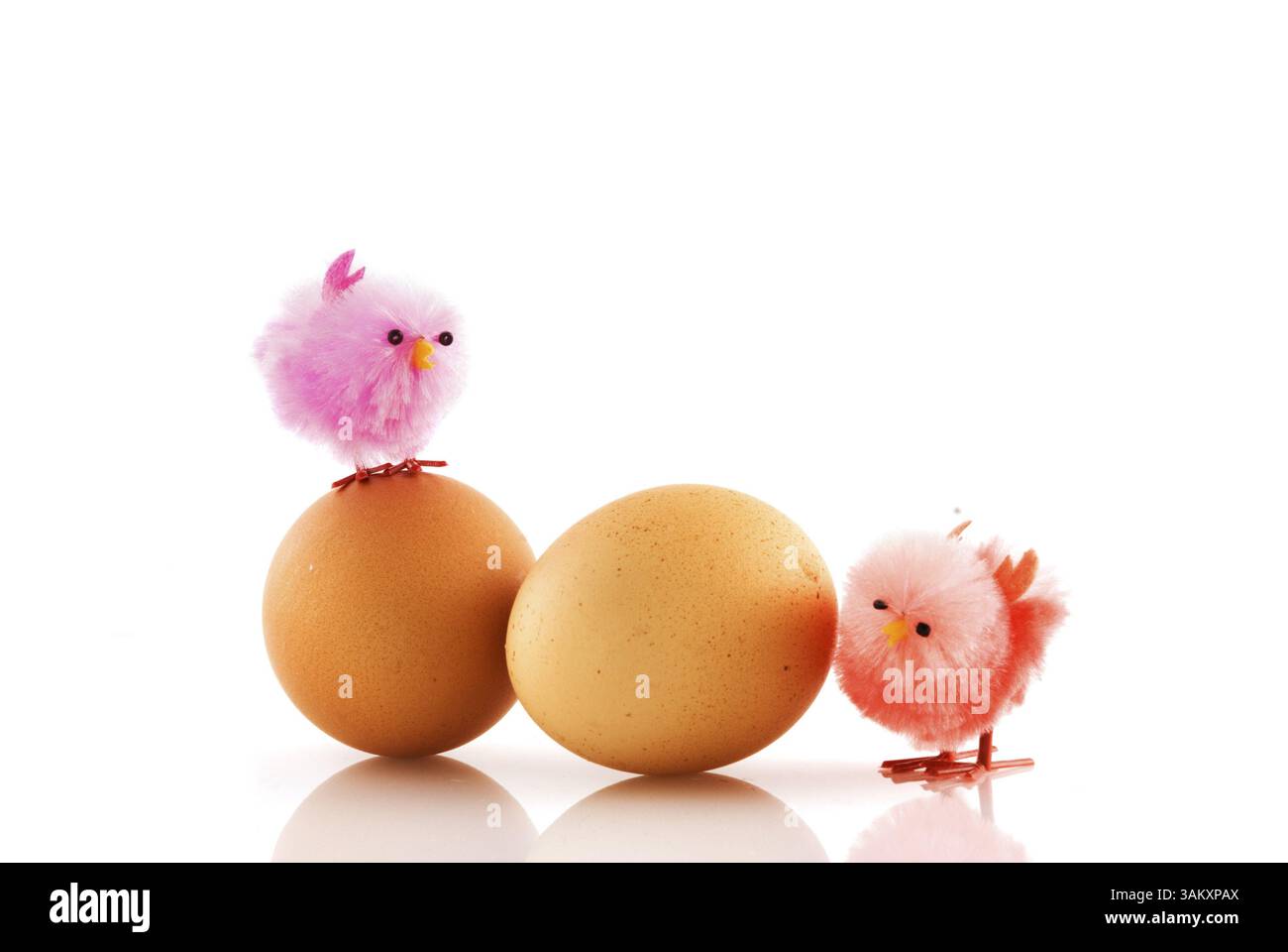 Child chickens eggs hi-res stock photography and images - Alamy