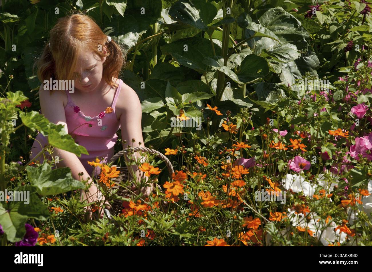 Girl plucking flowers in garden hi-res stock photography and images - Alamy