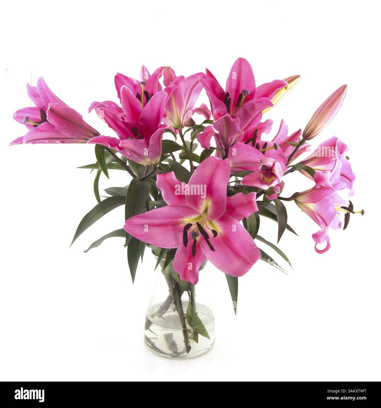 Vase lily flowers on Cut Out Stock Images & Pictures - Alamy