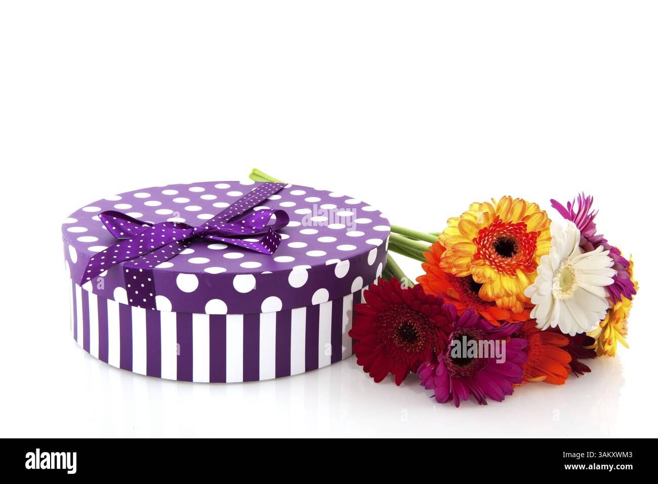 Purple present with speckles and stripes and flowers isolated over ...