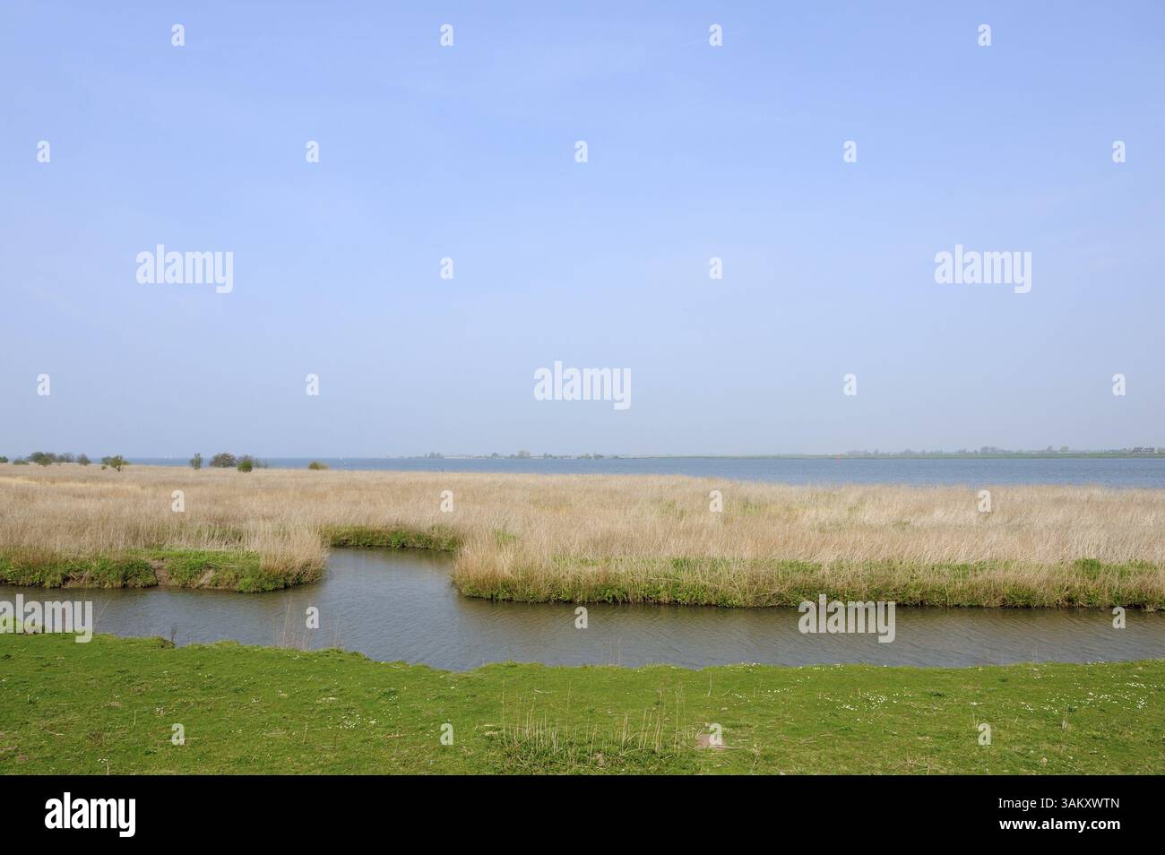 Bog water landscape in Holland with a ditch Stock Photo - Alamy