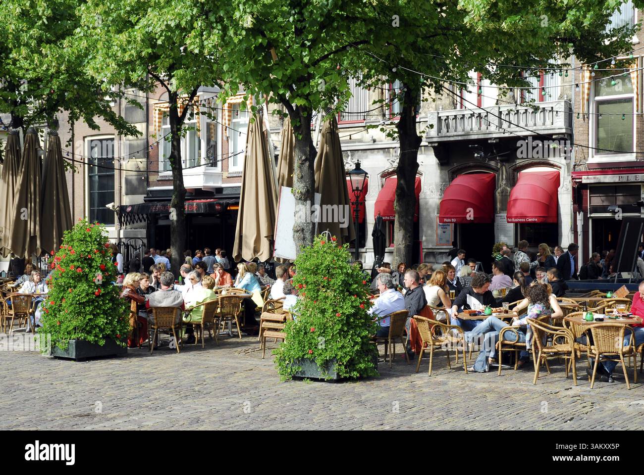 Bar Cafe Terrassen at Plein Square, city centre of The Hague, South ...