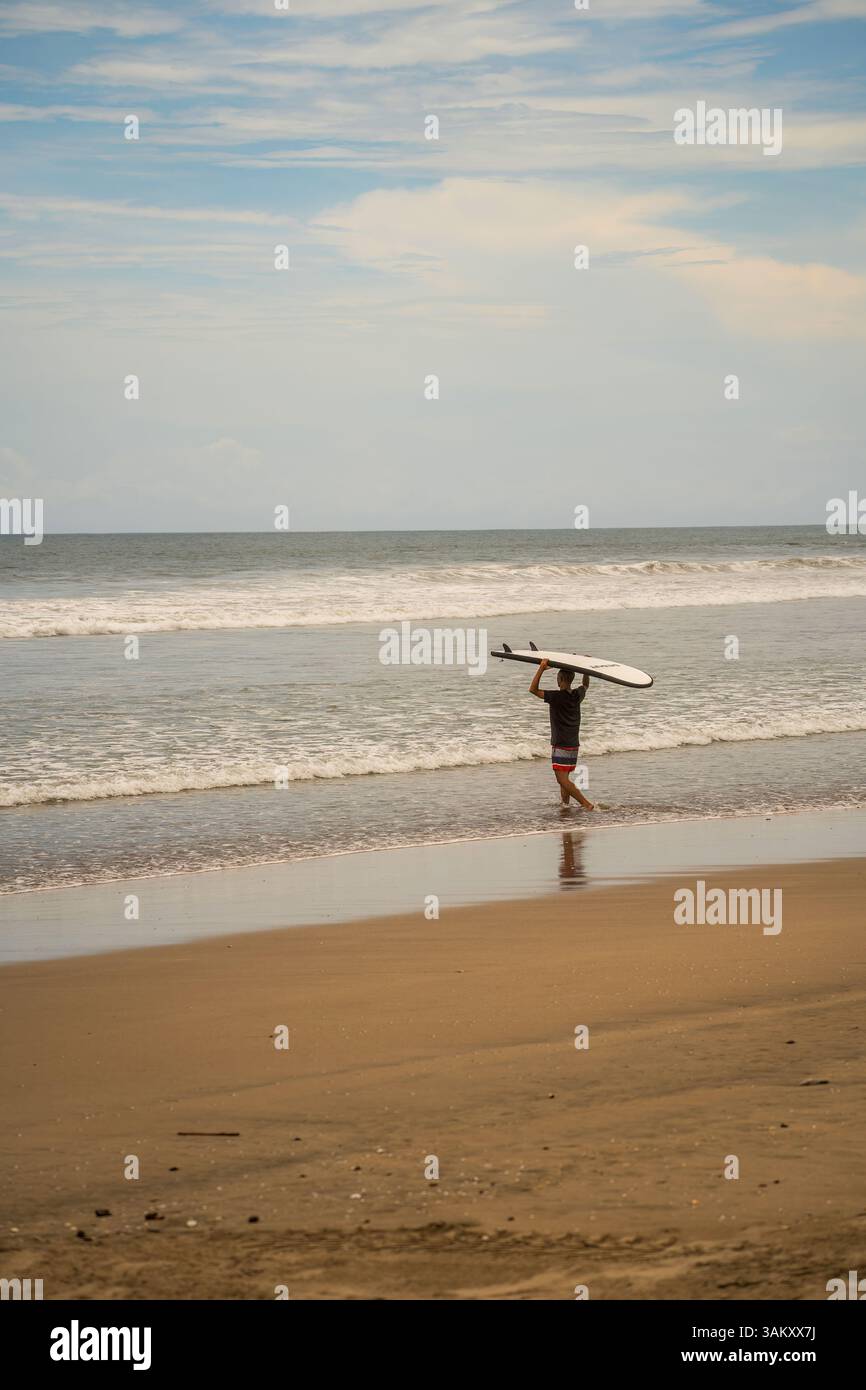 Lone surfer wading into gentle Balinese waves with white surfboard ...