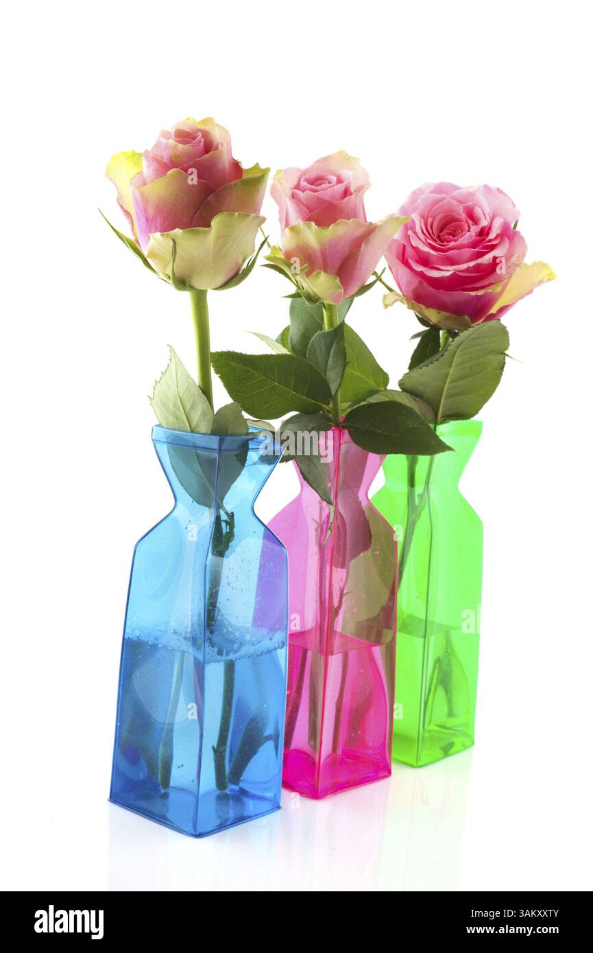Colorful beautiful flower arrangements Cut Out Stock Images & Pictures ...