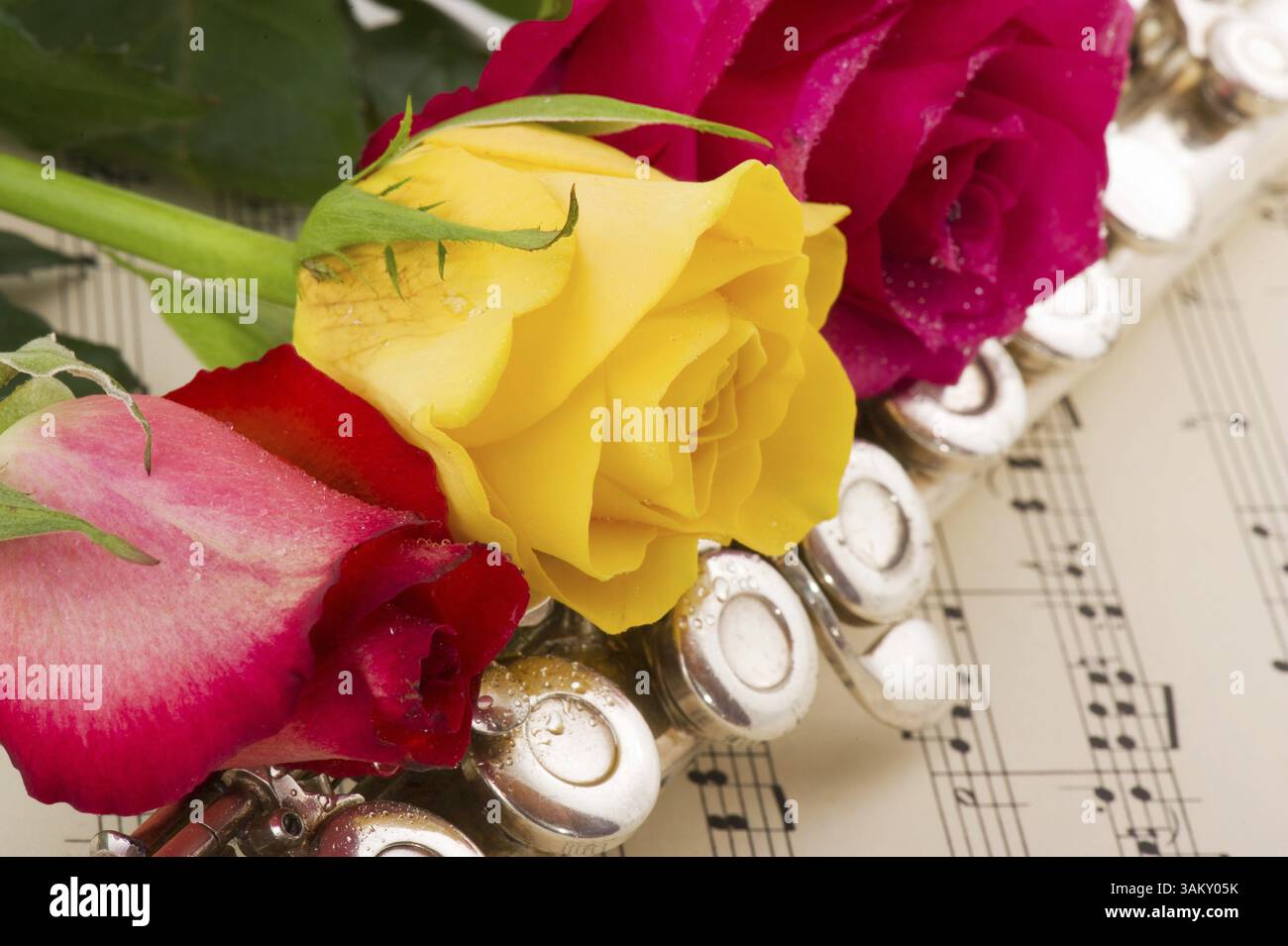 Diverse arrangement of musical instruments hi-res stock photography and ...