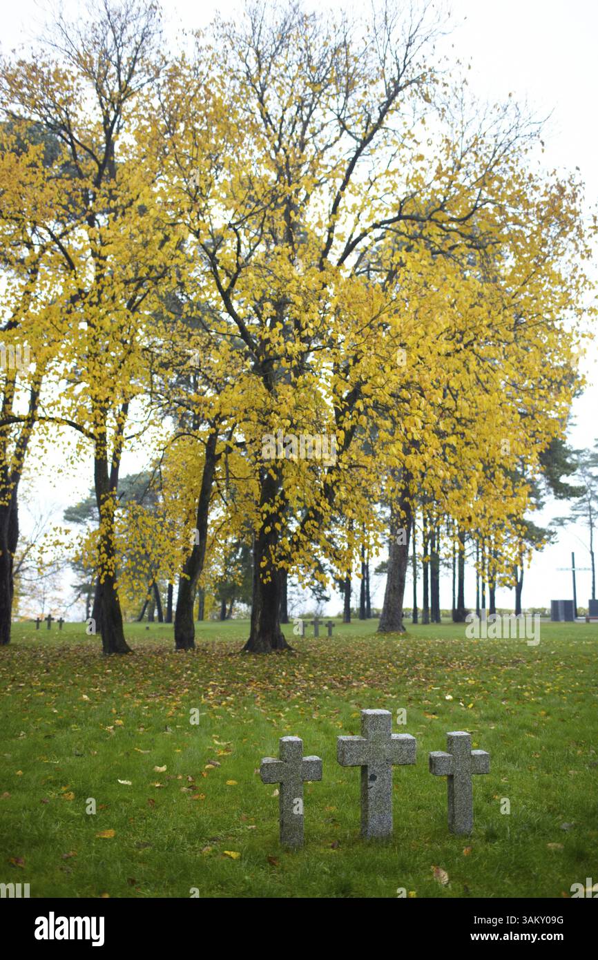 Three tombstone crosses and big tree with yellow leaves. Cemetery of ...