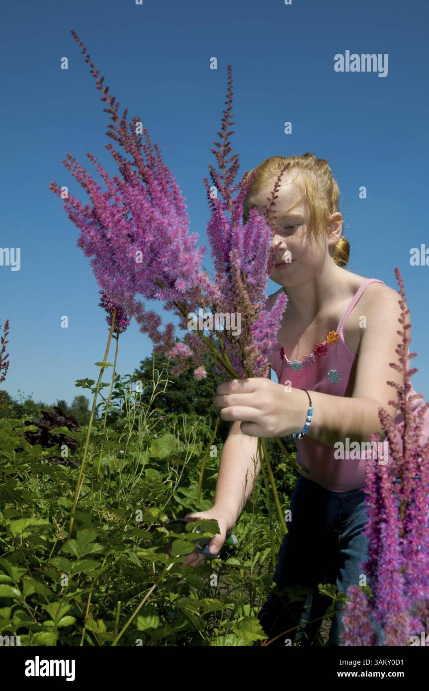 Girl is plucking flowers in the garden Stock Photo - Alamy