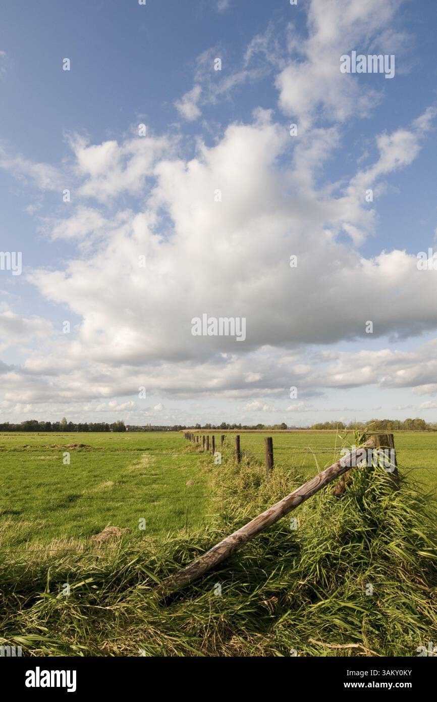Dutch flat landscape with farmland and blue cloudy sky Stock Photo - Alamy