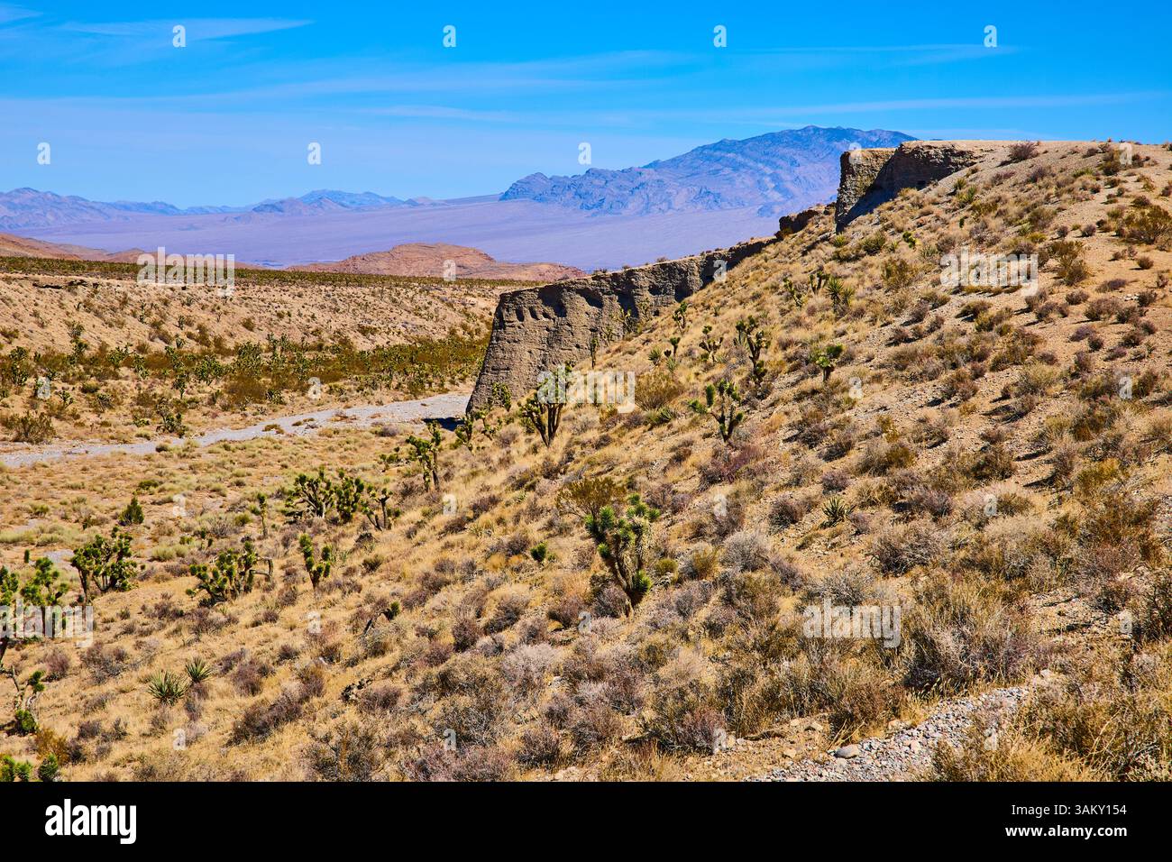 Joshua Trees and Rocky Outcrop in Nevada Desert Eye-Level View Stock ...
