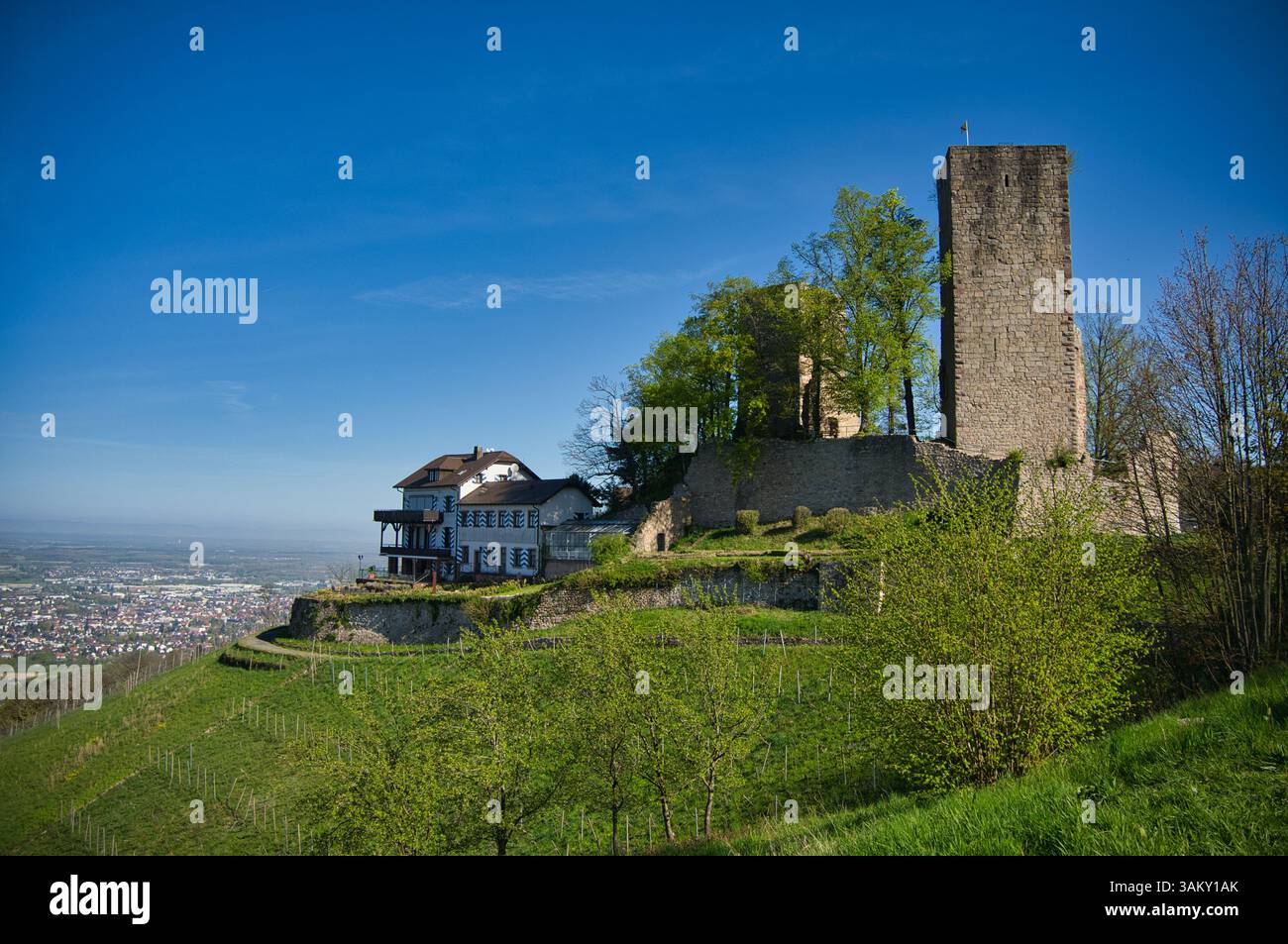 Castle Windeck in the Black Forest area in Germany Stock Photo - Alamy