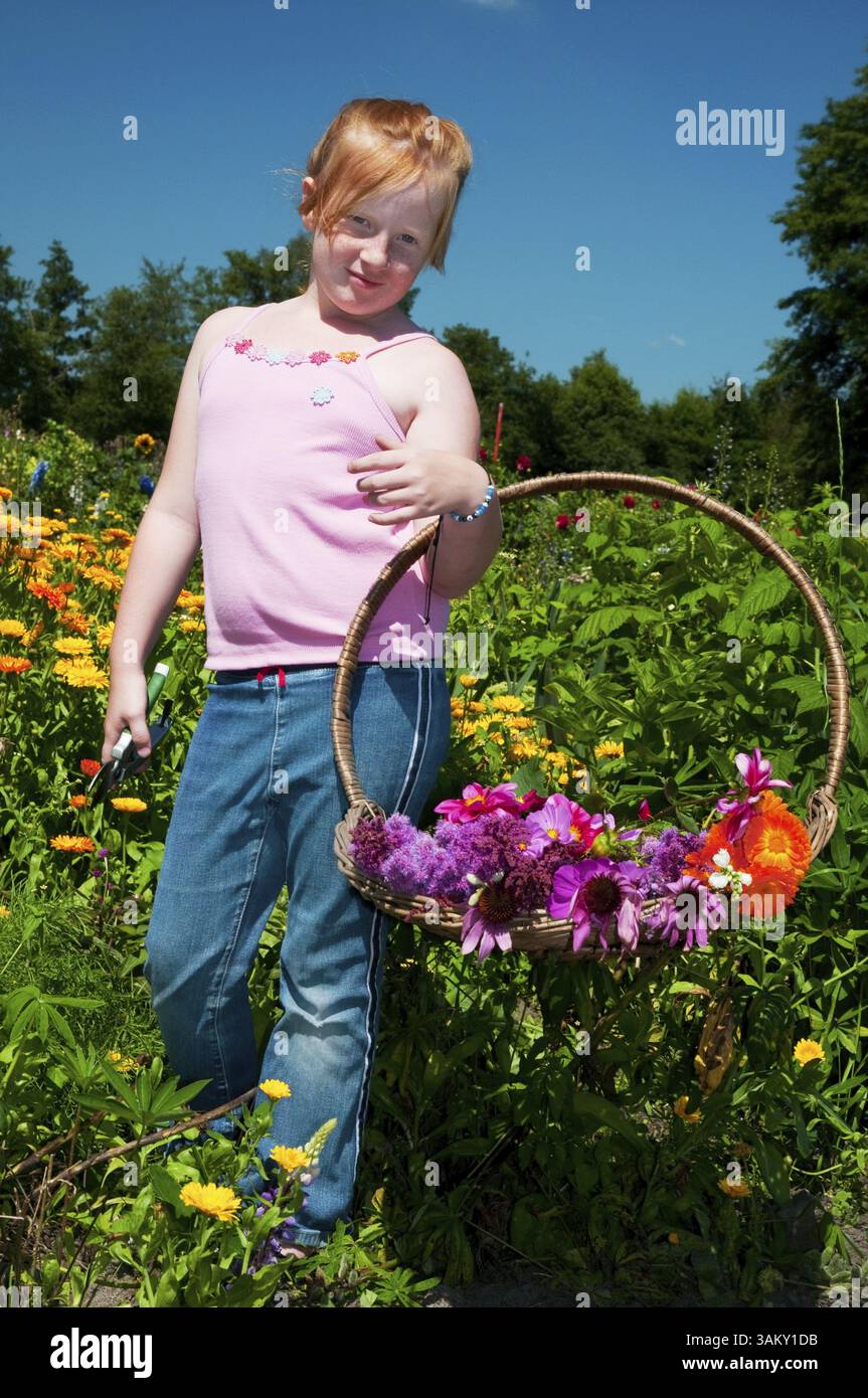 Harvest harvesting picking plucking hi-res stock photography and images ...