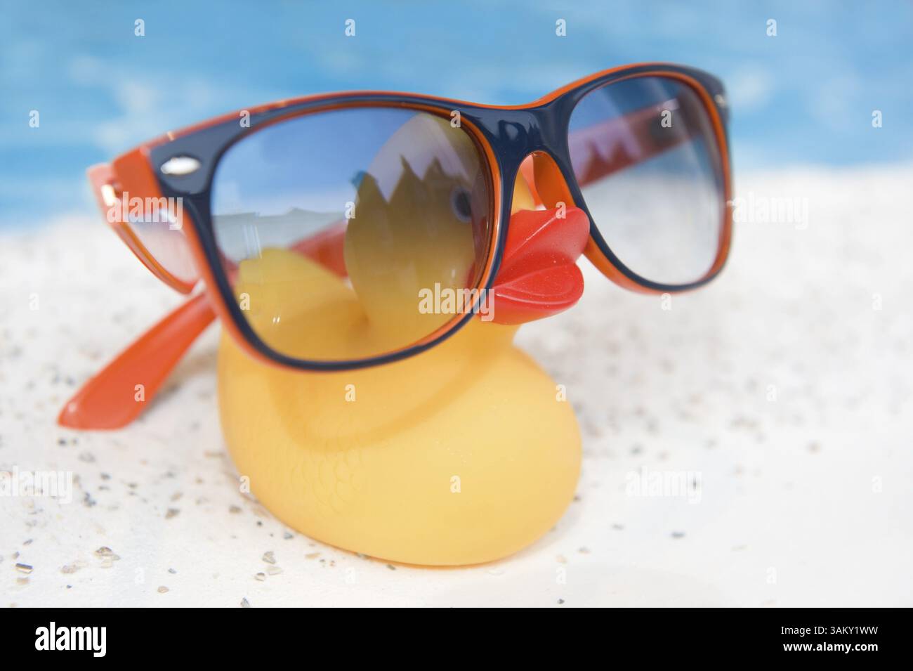 Vacation duck with sunglasses at the beach Stock Photo - Alamy