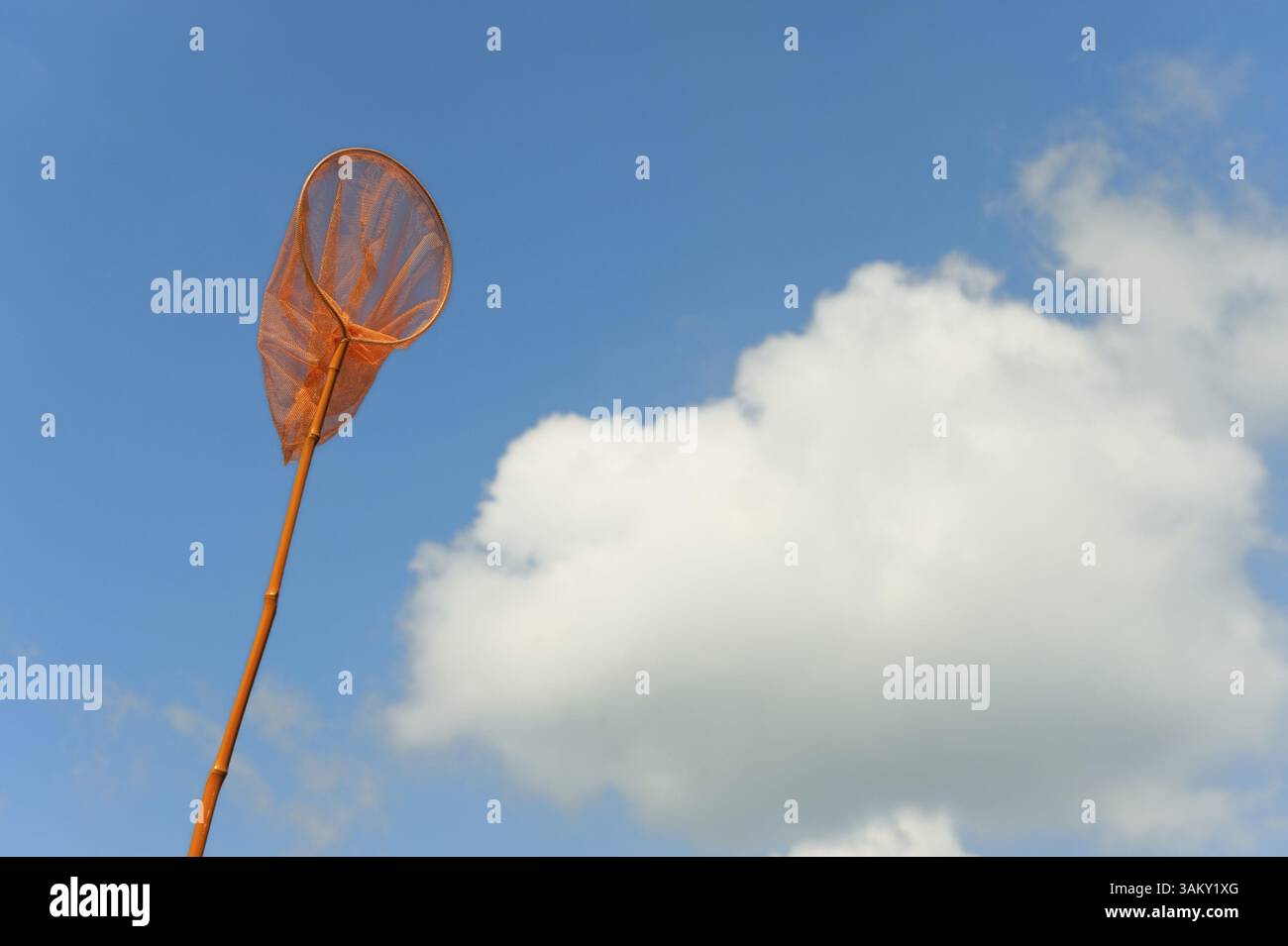Catching the whole world in this orange net Stock Photo - Alamy