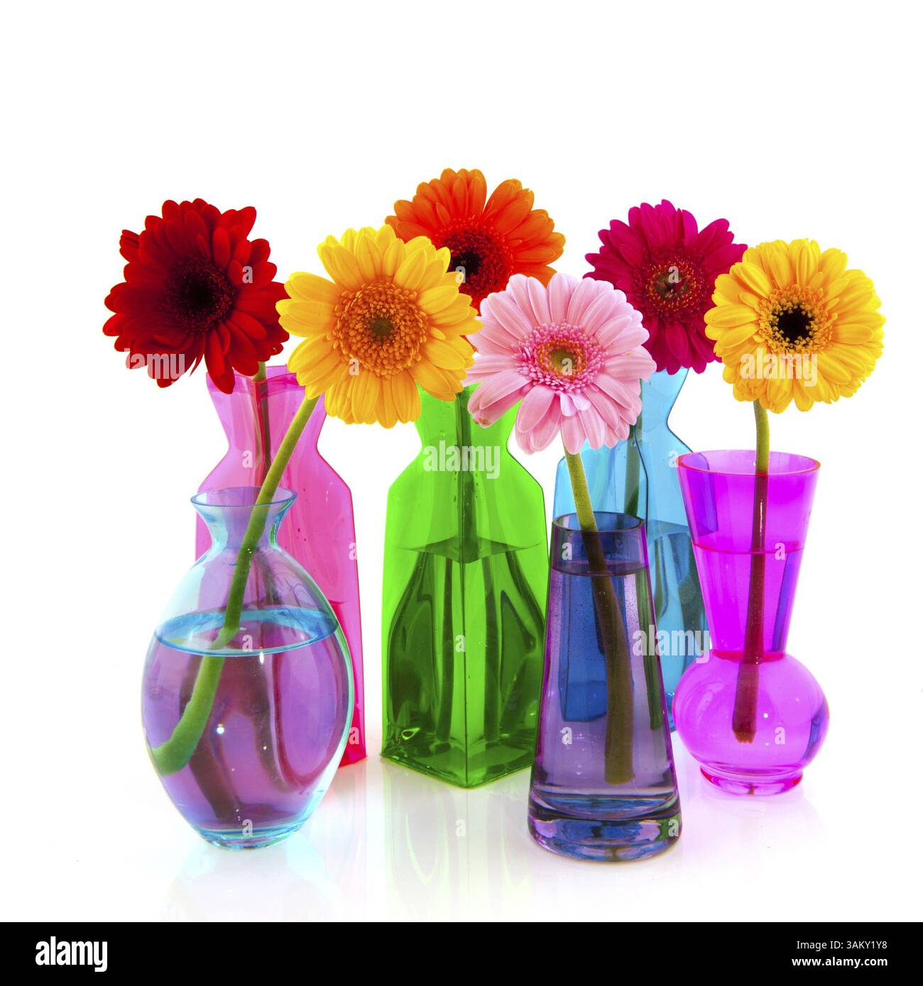 Flowers rows Cut Out Stock Images & Pictures - Alamy