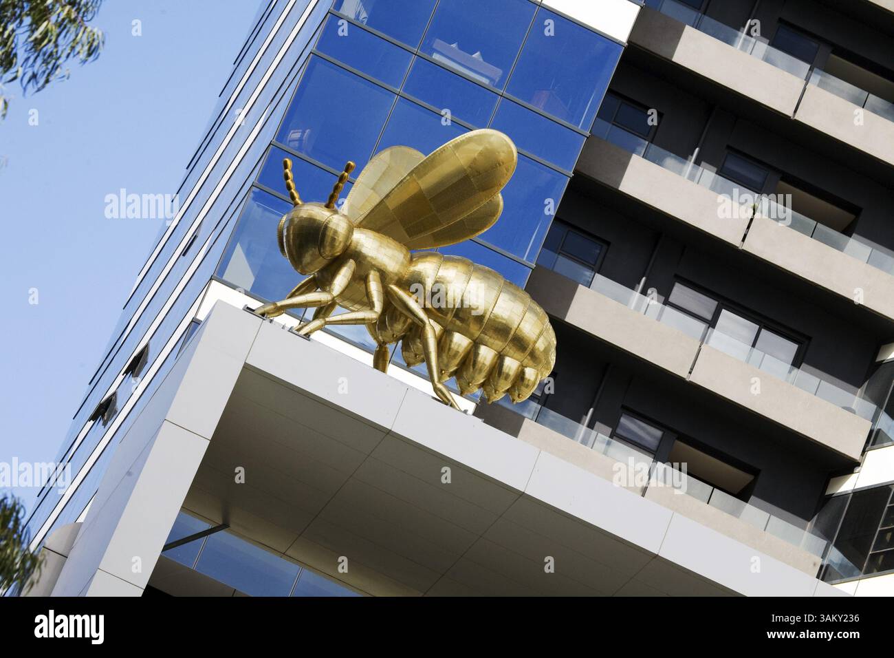 Big bee at an office building in Melbourne Stock Photo - Alamy