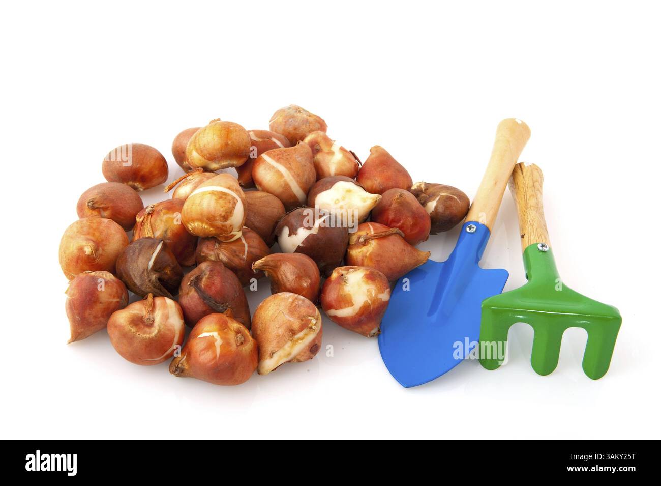 Day gardening Cut Out Stock Images & Pictures - Alamy