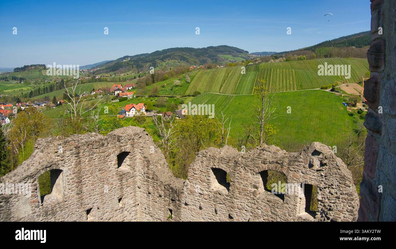 Landscape around the castle ruin Neu-windeck in the Black forest in ...