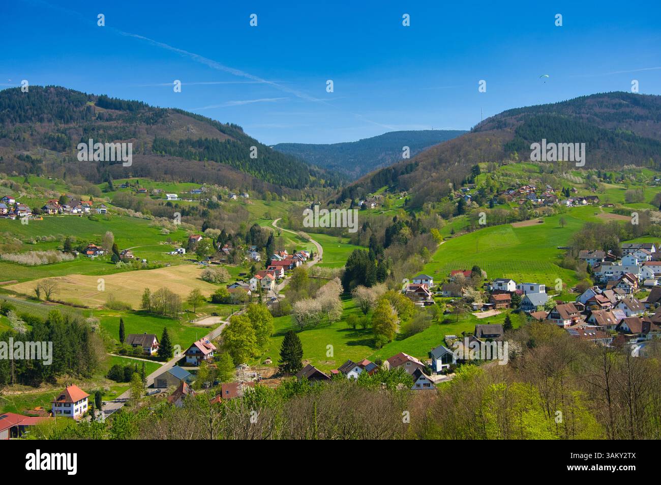 Landscape around the castle ruin Neu-windeck in the Black forest in ...