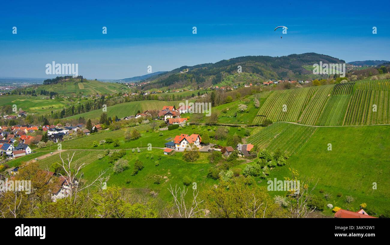 Landscape around the castle ruin Neu-windeck in the Black forest in ...