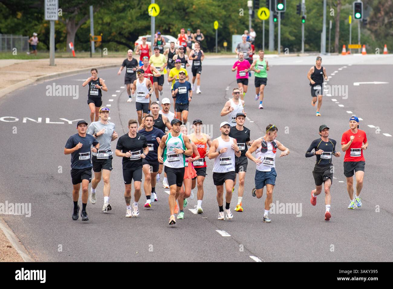 Groups of runners of all ages and abilities take part in the 2025 ...
