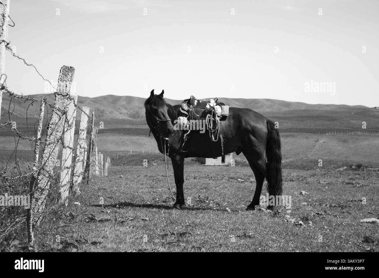 Pastoral life scenery Black and White Stock Photos & Images - Alamy