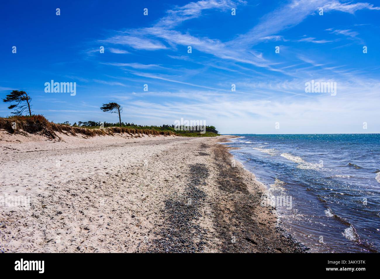 Grassy Beach on Fischland-Darss-Zingst Peninsula, Darsser Ort, Prerow ...