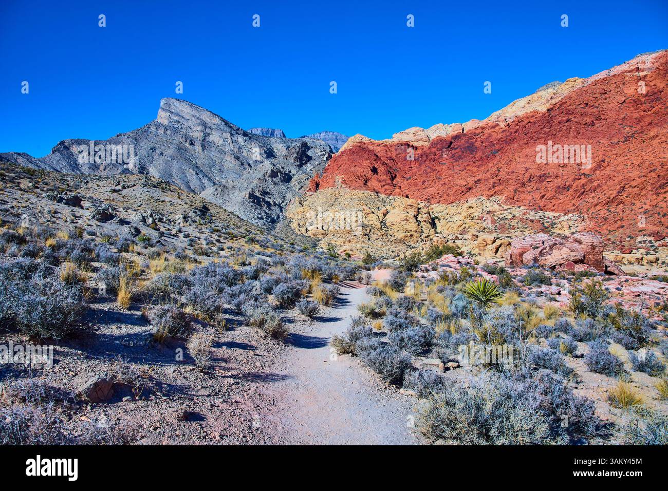 Red Rock Canyon Desert Pathway Adventure Eye-Level View Stock Photo - Alamy