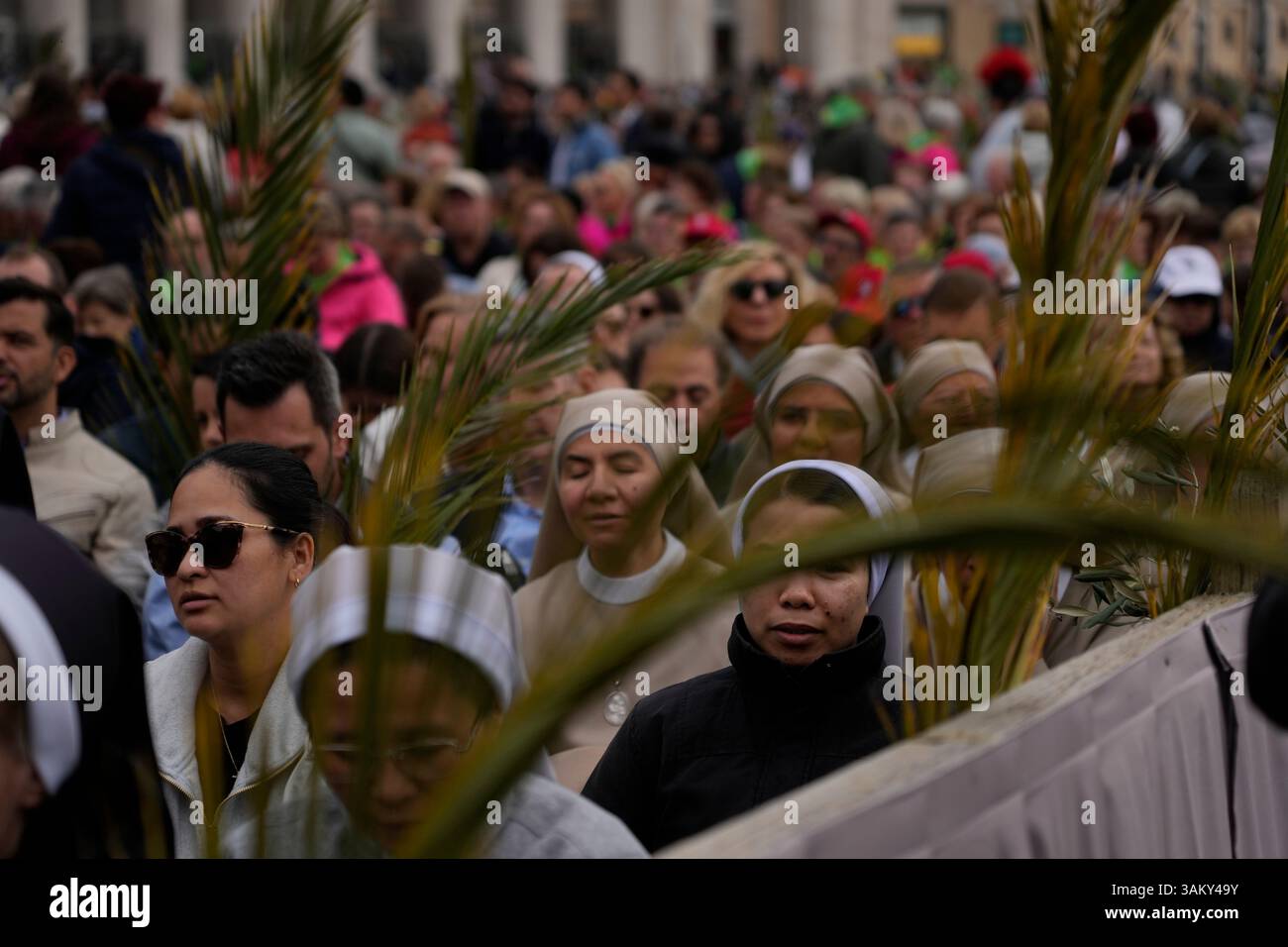 Palm branches are distributed ahead of the mass on Palm Sunday in St ...