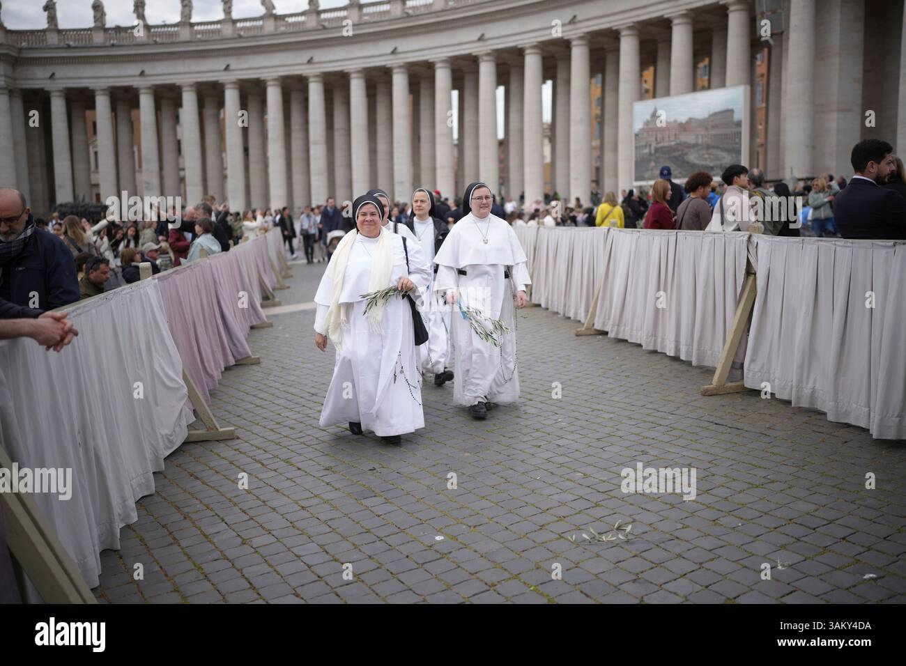 Nuns arrive for the mass on Palm Sunday in St. Peter's Square at The ...
