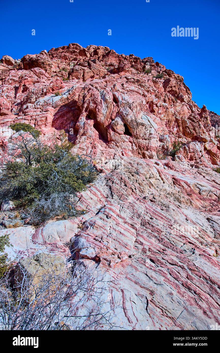 Red Rock Canyon Rugged Layers and Desert Flora Eye-Level Perspective ...