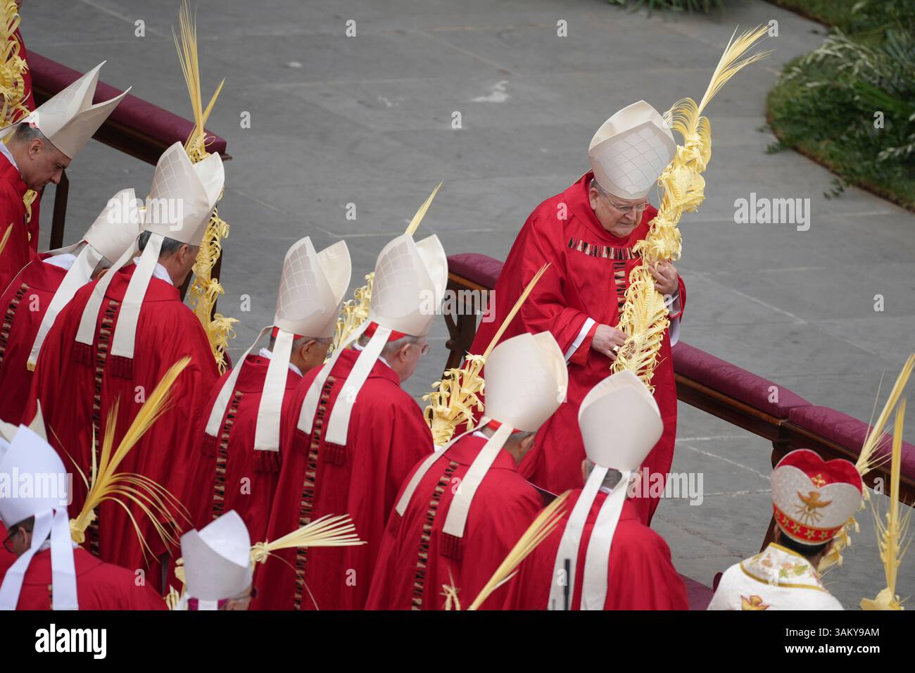 U.S. Cardinal Raymond Leo Burke arrives for the mass on Palm Sunday in ...