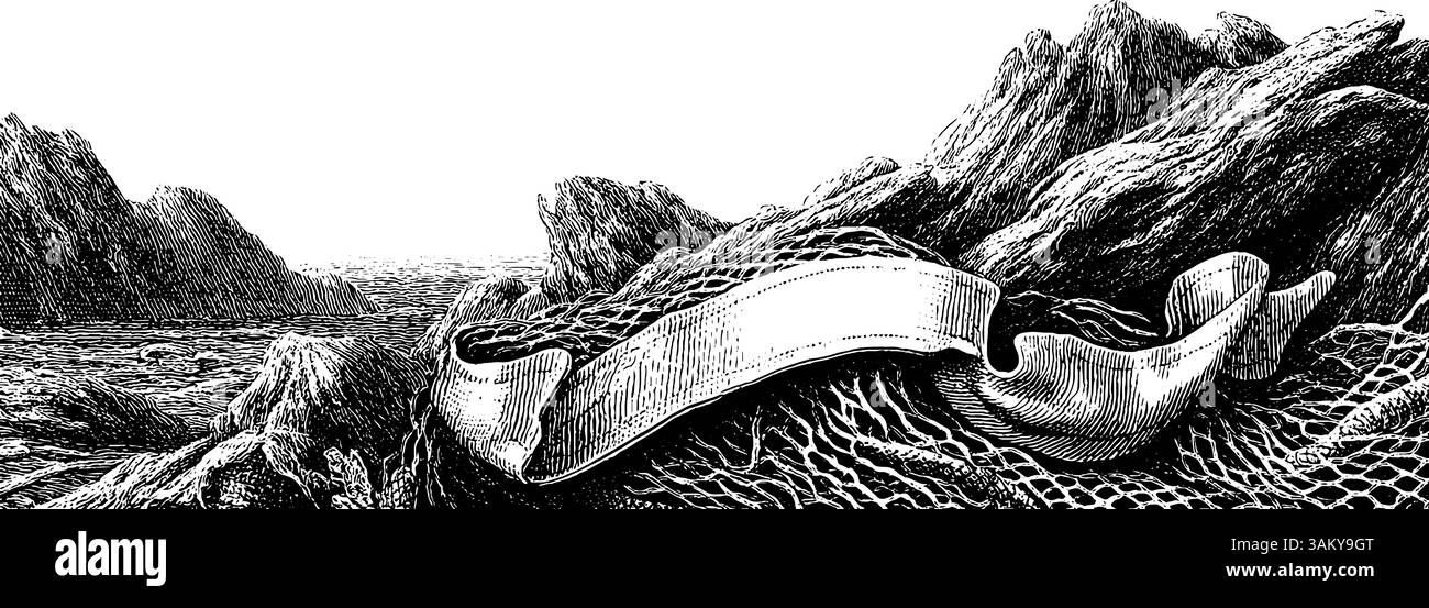 Vintage engraving of fishing net draped over rocky coastline Stock ...