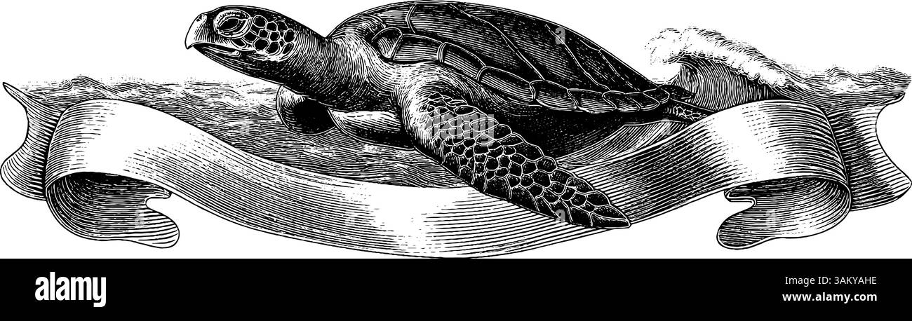 Engraved sea turtle illustration swimming in ocean waves design for ...