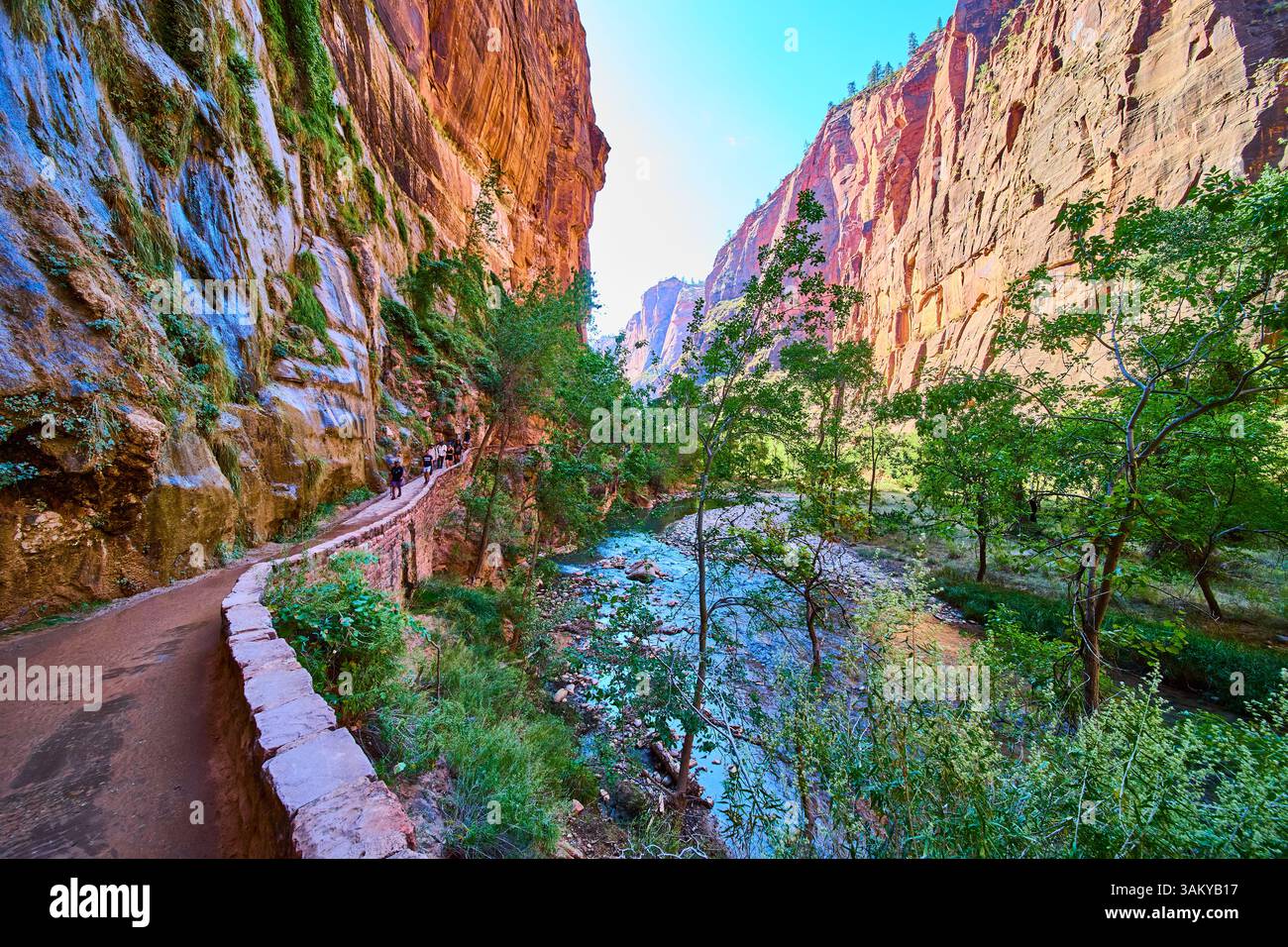 Zion National Park Canyon Walls and River Path Eye-Level View Stock ...