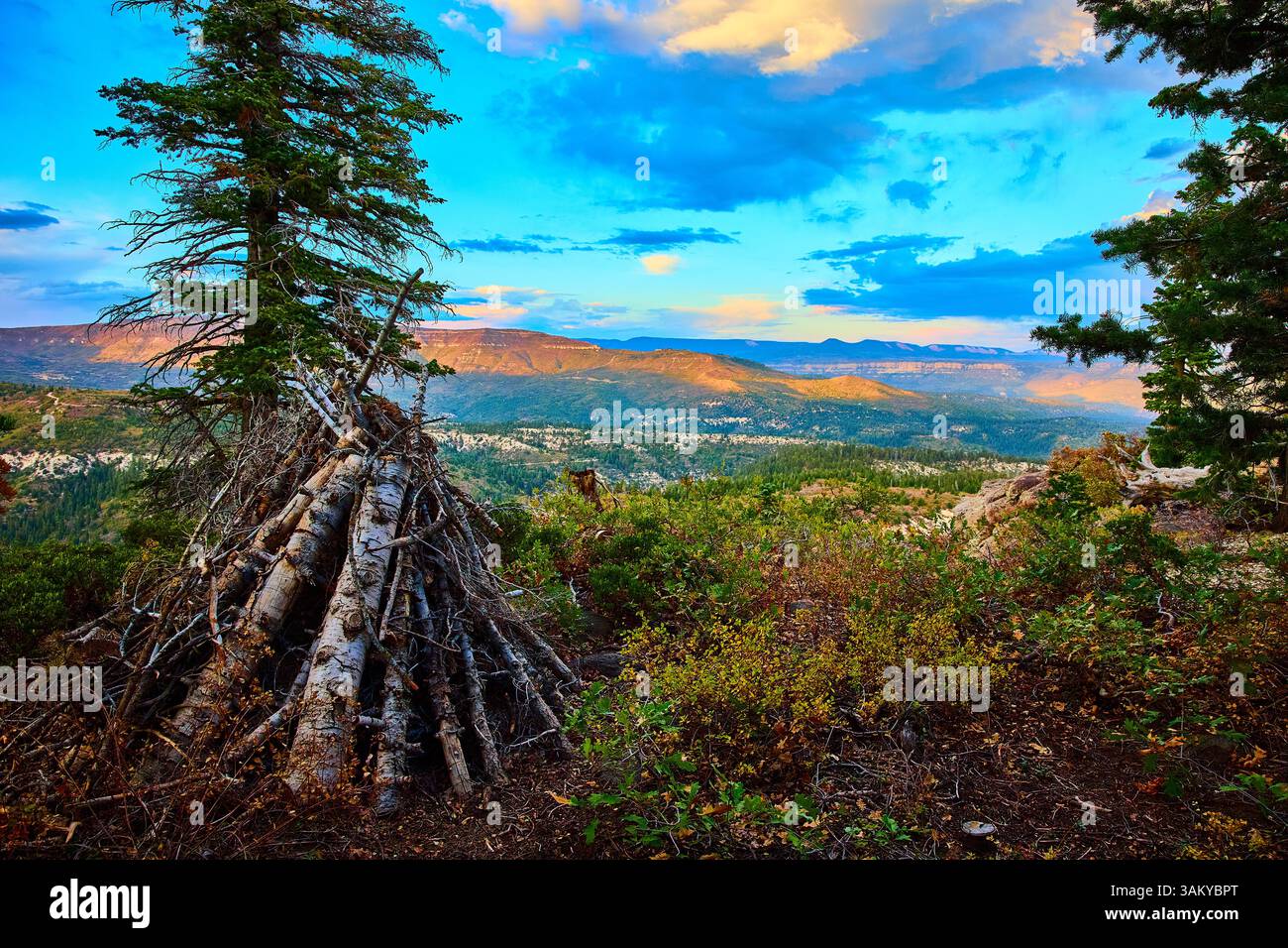 Rustic Log Teepee and Tree with Majestic Mountains at Golden Hour Stock ...