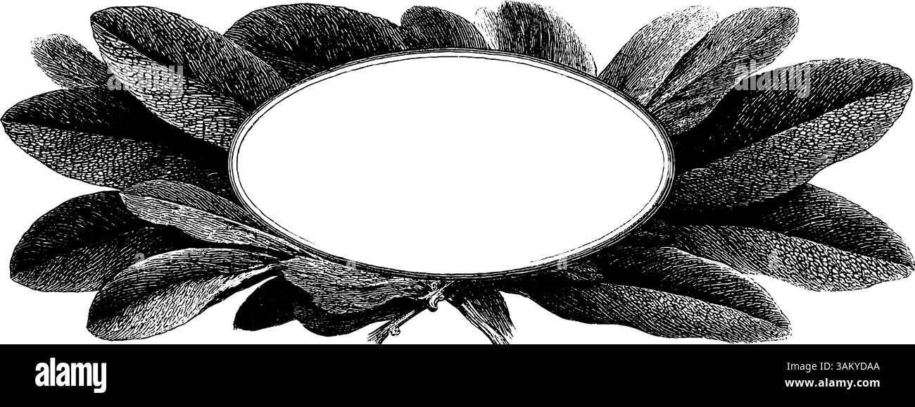 Oval frame with engraved leaves design for decorative art projects ...