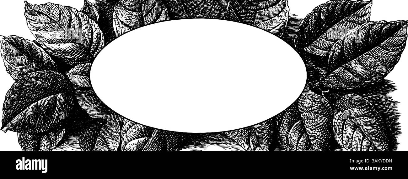 Engraved botanical leaves forming oval frame design for nature-themed ...